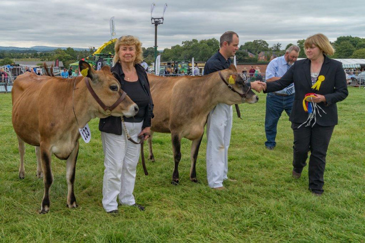 Gallery | Great Eccleston Show
