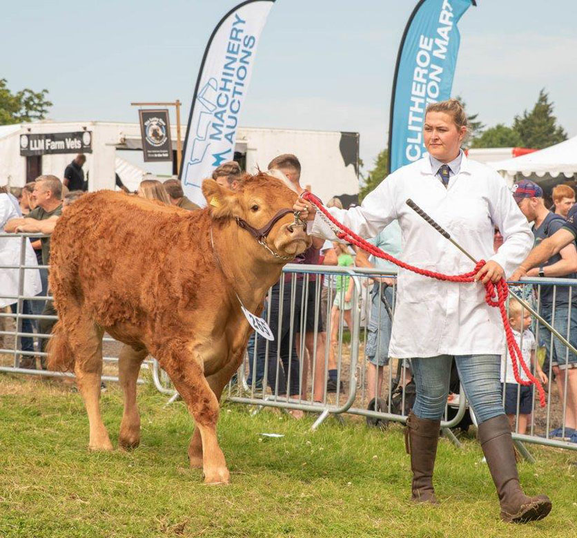 Gallery | Great Eccleston Show