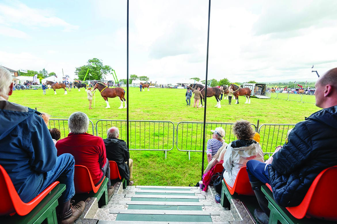 Gallery | Great Eccleston Show