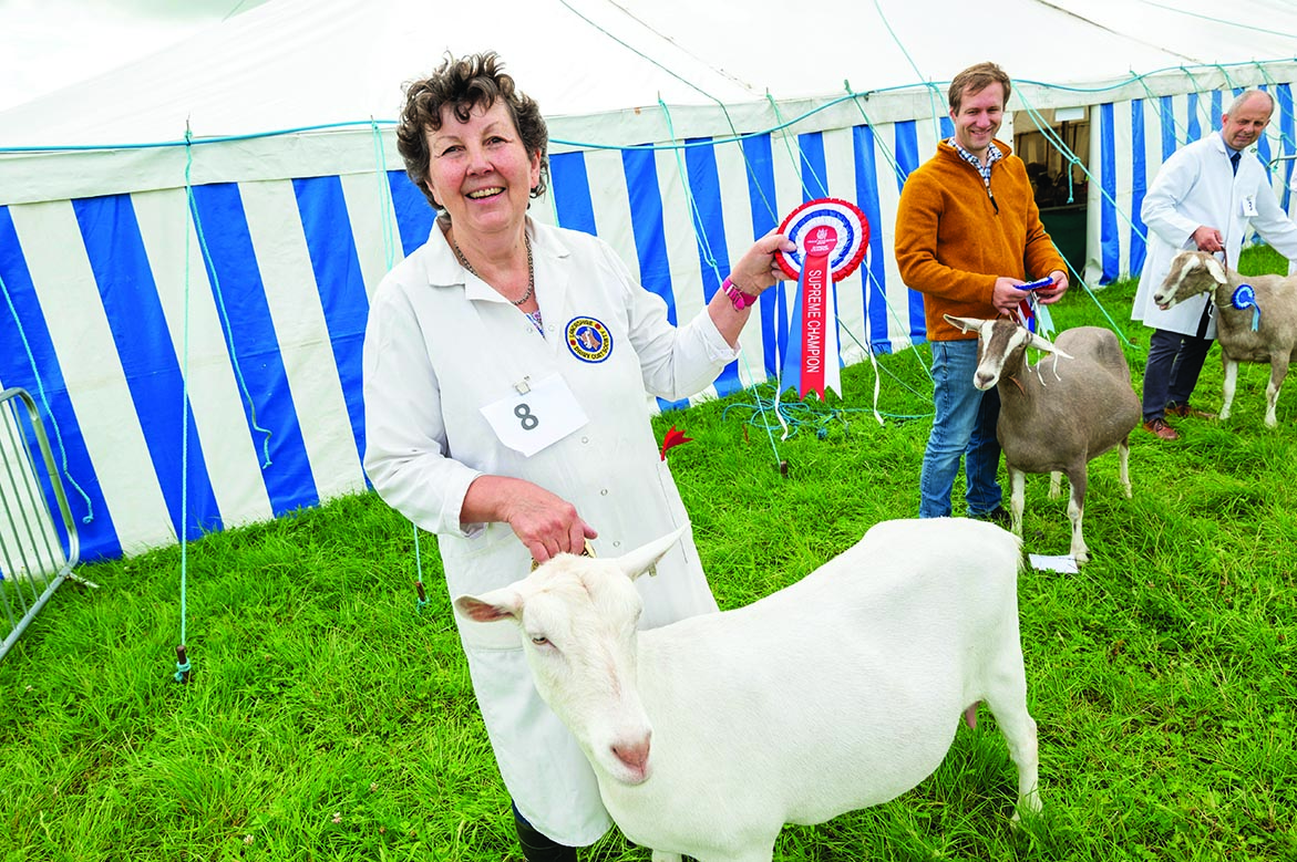 Gallery | Great Eccleston Show