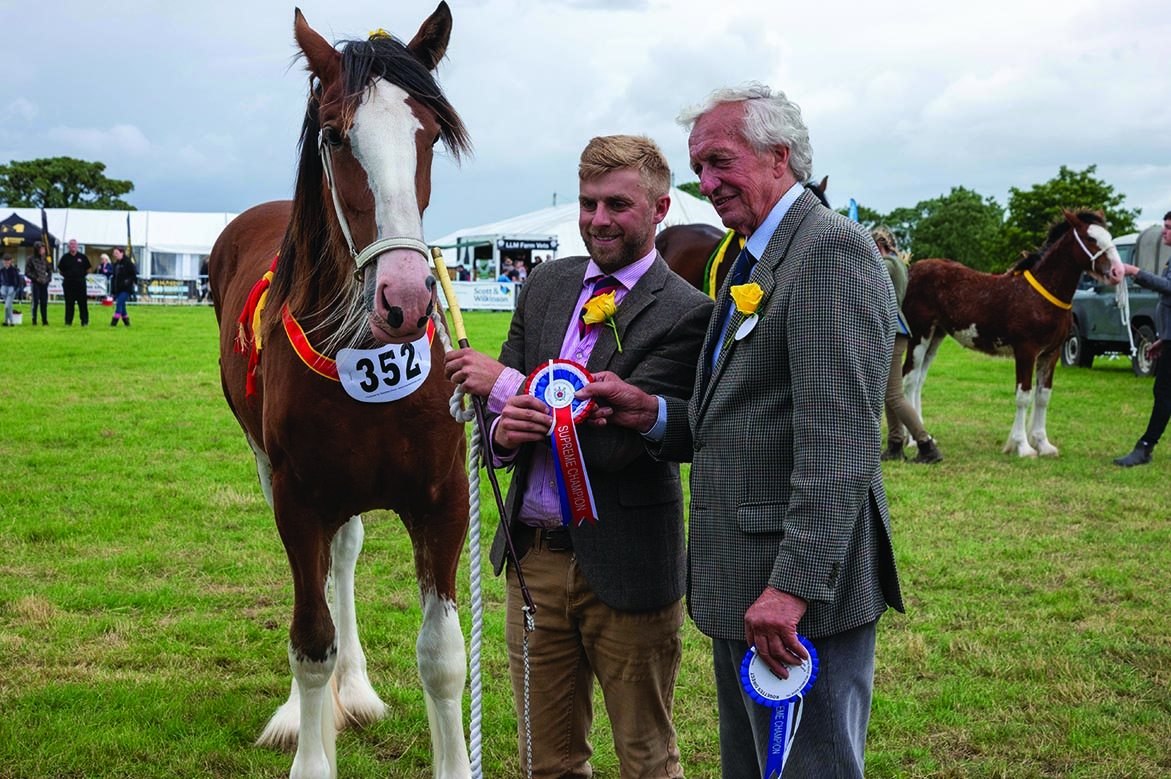 Gallery | Great Eccleston Show